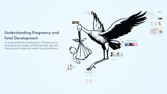 Understanding Pregnancy and Fetal Development by Divya Shah on Prezi