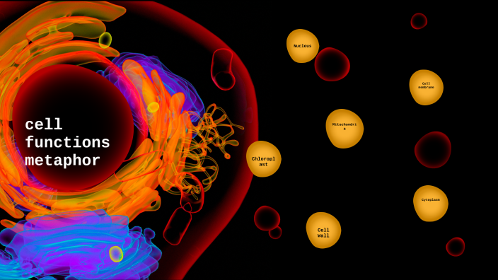 Functions of the cell metaphor by Supreme_ ganng on Prezi