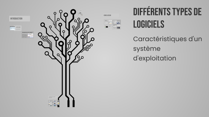 Différents types de logiciels by mary brn on Prezi