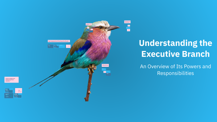 Understanding the Executive Branch by joseph r on Prezi