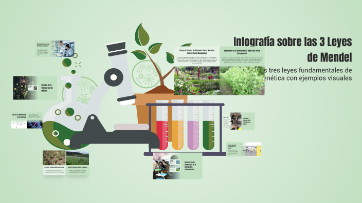 Infografía sobre las 3 Leyes de Mendel by kevin landa llamocca on Prezi