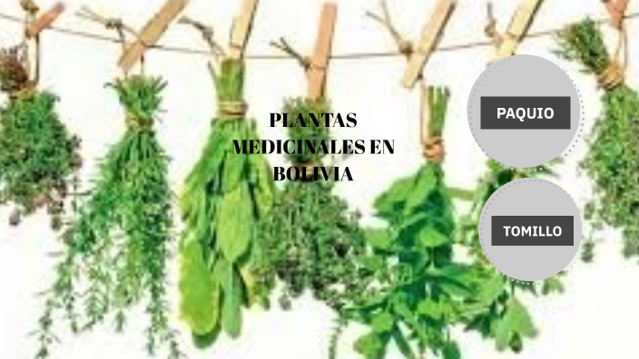 practico final robles by SAUL RENATO ROBLES VILLARROEL on Prezi