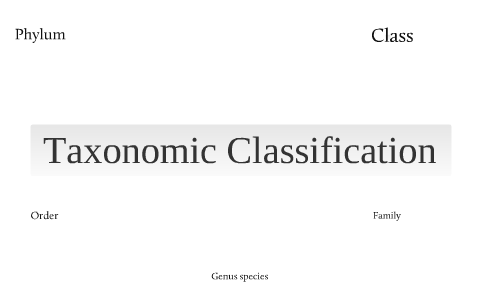 Taxonomic Classification of Horses by Ivonne De Jesus on Prezi