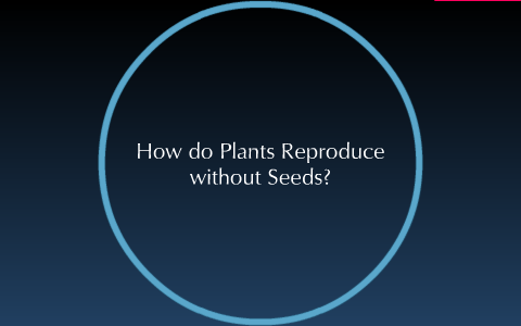 Plants the Reproduce without Seeds by Sara Privitera on Prezi