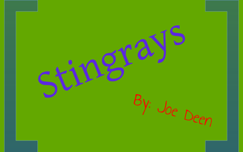 Animals Nobody Loves: Stingrays by Joe Deen on Prezi