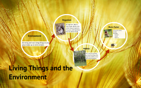 Living Things and the Environment by Alexa Schuler on Prezi