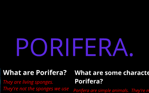 Invertebrates by Mallorie Winn on Prezi