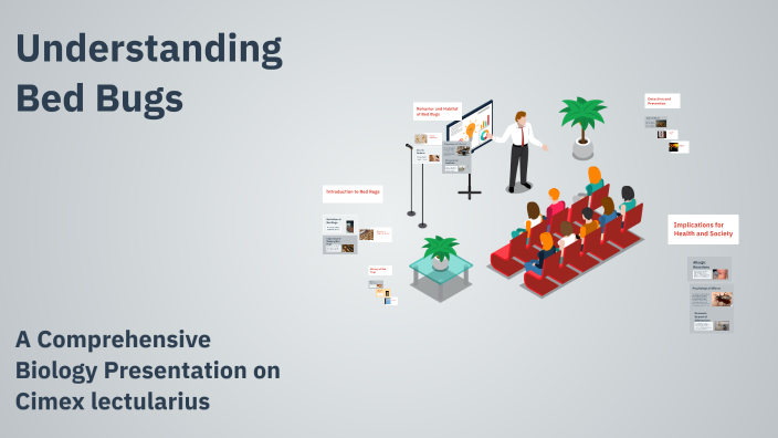 Understanding Bed Bugs by Hana Fialová on Prezi