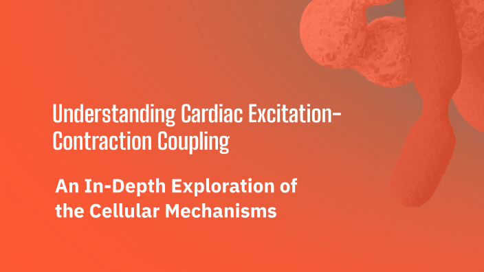 Understanding Cardiac Excitation-Contraction Coupling by Chamal ...