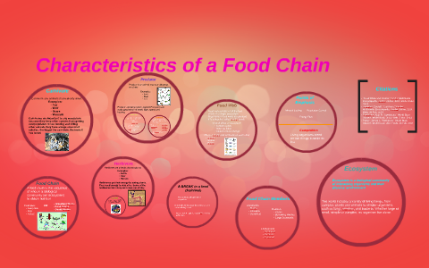 Characteristics of a Food Chain by Rosemery Pablo Argueta on Prezi