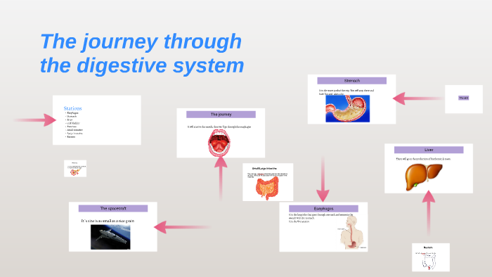 The journey through the digestive system by Elias Benitez Santilan on Prezi