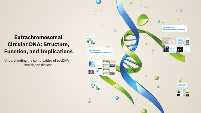 Extrachromosomal Circular DNA: Structure, Function, and Implications by ...