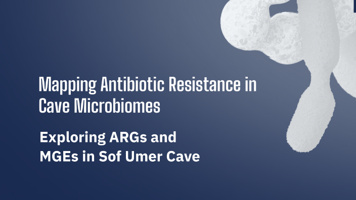 Mapping Antibiotic Resistance in Cave Microbiomes by Abu Feyisa on Prezi