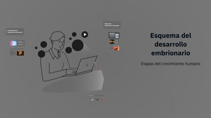 Esquema del desarrollo embrionario by Akari Alarcon on Prezi