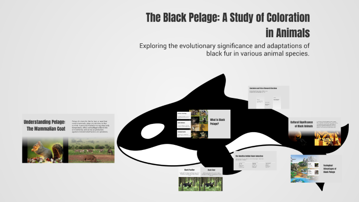 The Black Pelage: A Study of Coloration in Animals by jackson pearse on ...