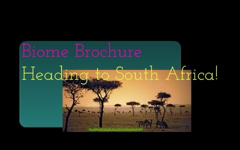 Biome Projet/Travel Brochure by Lauren Croy on Prezi