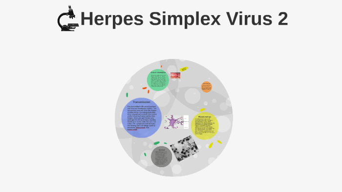 Herpes Simplex Virus 2 by Gavin Qian on Prezi