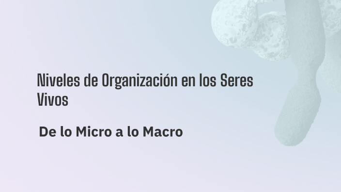 Niveles de Organización en los Seres Vivos by Fanny Villalobos on Prezi