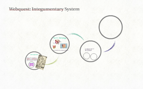 Webquest: Integumentary System by khalila sailor on Prezi