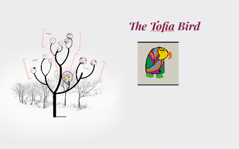 The Tofia Bird by Daija M on Prezi
