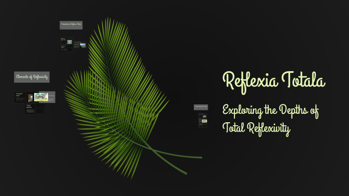 Reflexia Totala by Iancu Raluca on Prezi