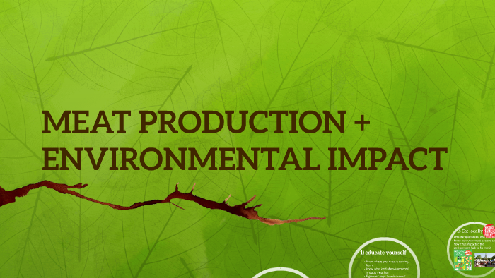 MEAT PRODUCTION + ENVIRONMENTAL IMPACT by Eva Custeau on Prezi