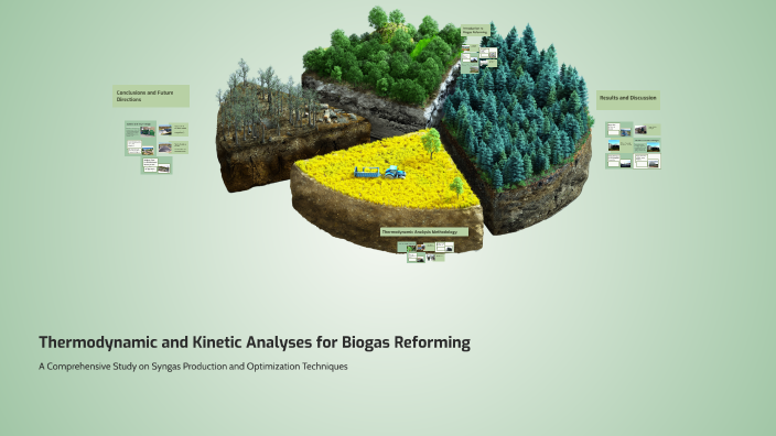 Thermodynamic and Kinetic Analyses for Biogas Reforming by Ahmad Kotb ...