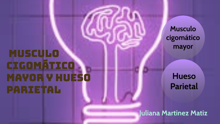 Músculo pterigoideo medial y hueso parietal by juliana martinez matiz ...