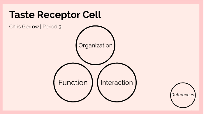 Specialized Cell Project by Christopher Gerrow on Prezi