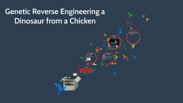 Reverse Engineering a Dinosaur from a Chicken by Sam Nicol on Prezi