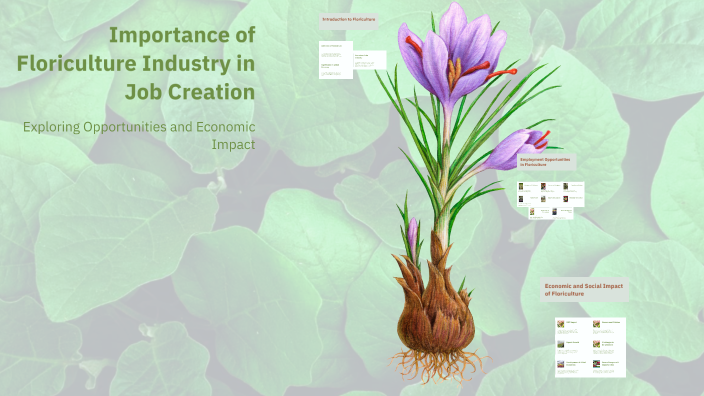 Importance of Floriculture Industry in Job Creation by farzi on Prezi
