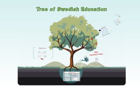 Tree of Sweeden Education by Yue Liang on Prezi
