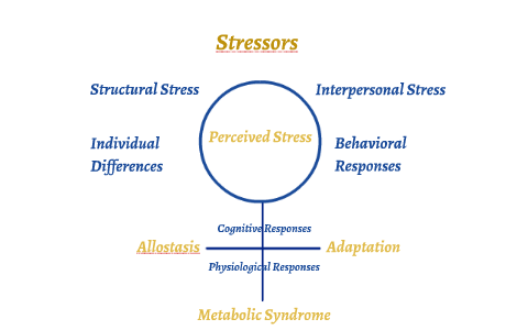 Allostatic Load Model of Stress in AA women by Candace Johnson on Prezi