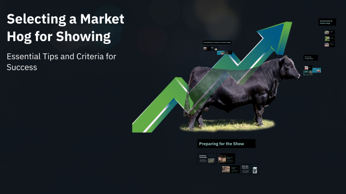 Selecting a Market Hog for Showing by Cheyenne Heffner on Prezi