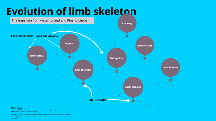 Evolution of Limb skeleton by Yuval Proud on Prezi
