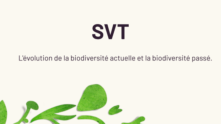 svtt by usaama alnashef on Prezi