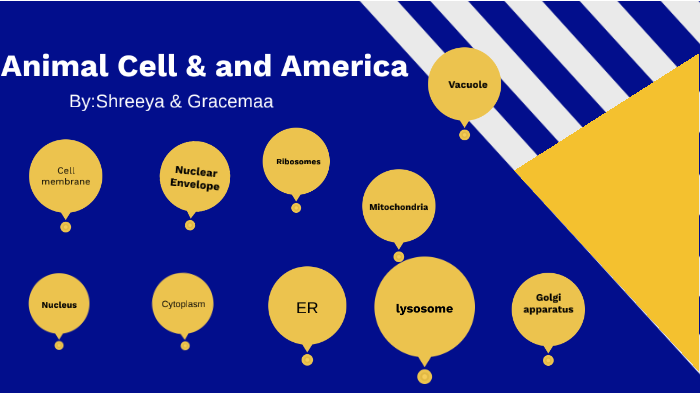Cell project- Animal cell by Shreeya Gupta on Prezi