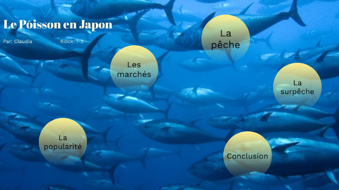 Le poisson au Japon by Claudia Thompson on Prezi