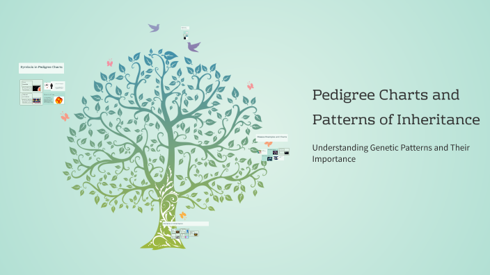 Pedigree Charts and Patterns of Inheritance by Simardeep Bathan on Prezi