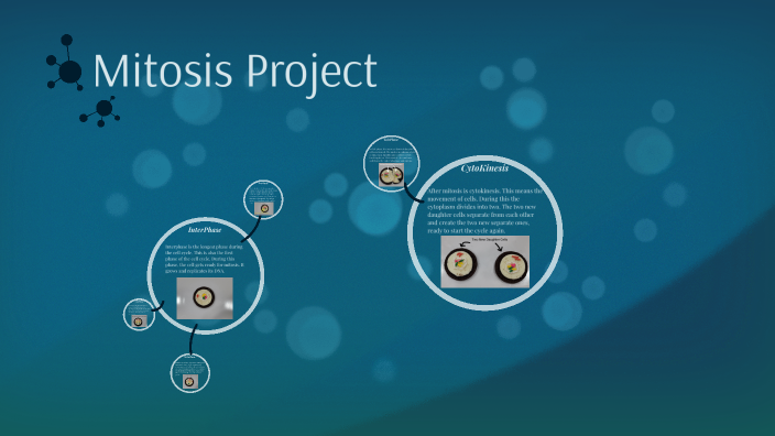 Mitosis Project by Chris Posada on Prezi
