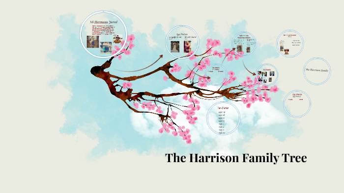 The Harrison Family Tree by faith harrison on Prezi