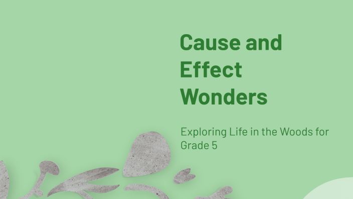 Cause and Effect Wonders by Noha Awad on Prezi