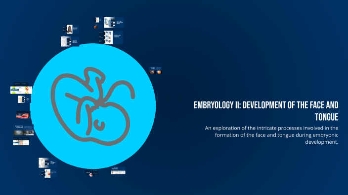 Embryology II: Development of the Face and Tongue by Malak Salman on Prezi