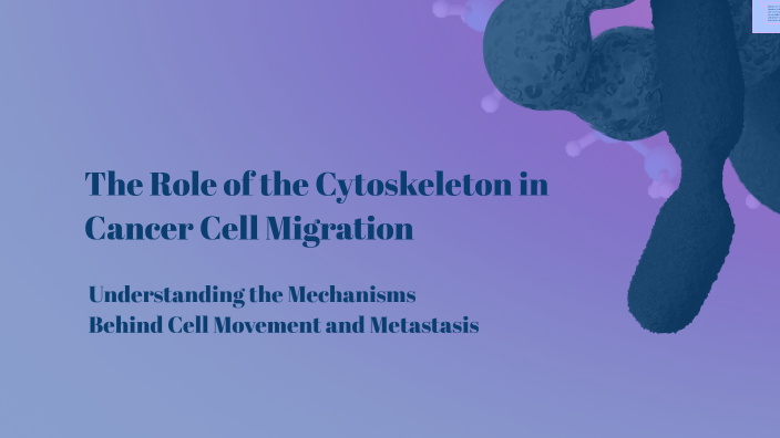 The Role of the Cytoskeleton in Cancer Cell Migration by Raha daydream ...