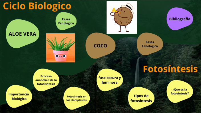 Ciclo biologico by Andres Ramos on Prezi