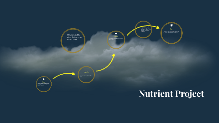 Nutrient Project By J K