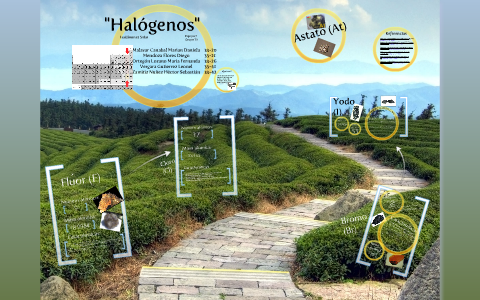 Halógenos by Daniela Malavar Canabal