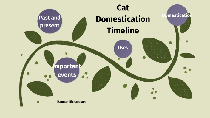 Cat domestication timeline by hannah richardson on Prezi