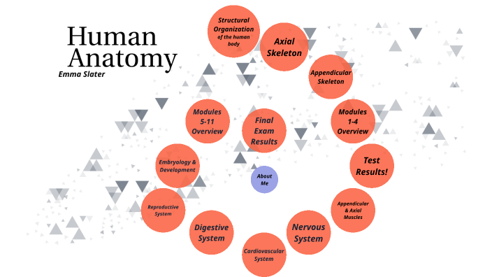 Human Anatomy Portfolio by Emma Slater on Prezi