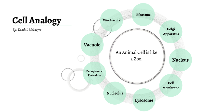 Cell Analogy by KENDALL MCINTYRE on Prezi